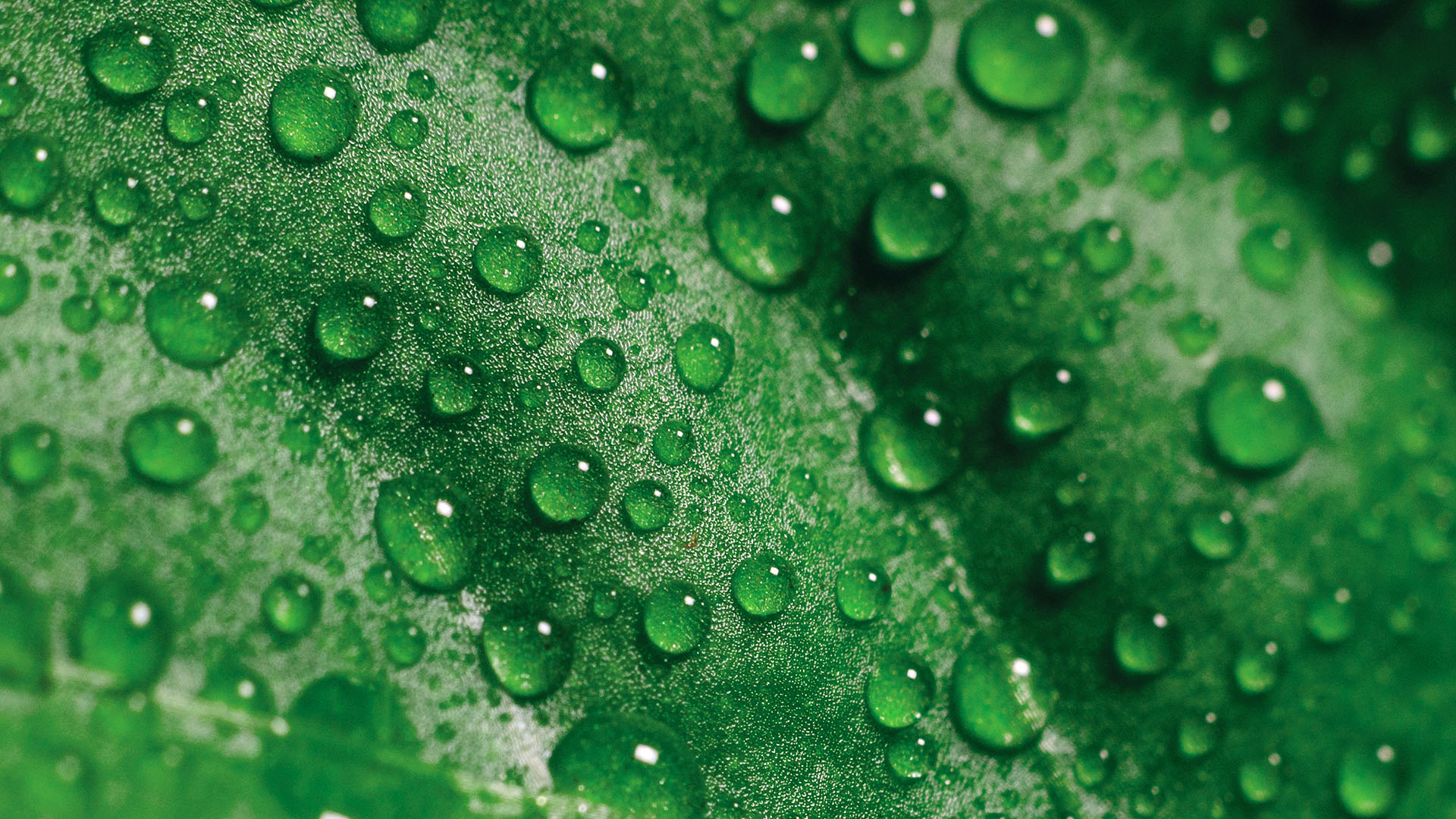 Dew Point, Humidity & Air Quality Classes: The Practical Guide